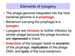 4_4_lambda_decisions.ppt