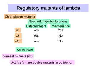 4_4_lambda_decisions.ppt
