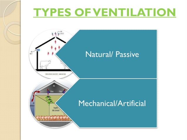 VENTILATION SYSTEM IN ANIMAL HOUSES.pptx