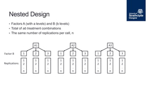 4_4_WP_4_06_ND_Model.pptx