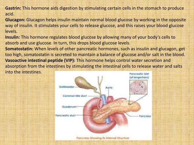 General Introduction Towards Diabetes | PPTX