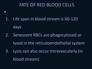 45. NB NEONATAL HYPERBILIRUBINEMIA.ppt.pdf