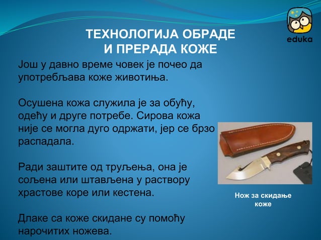 Tehnologija obrade i prerade koze | PPTX