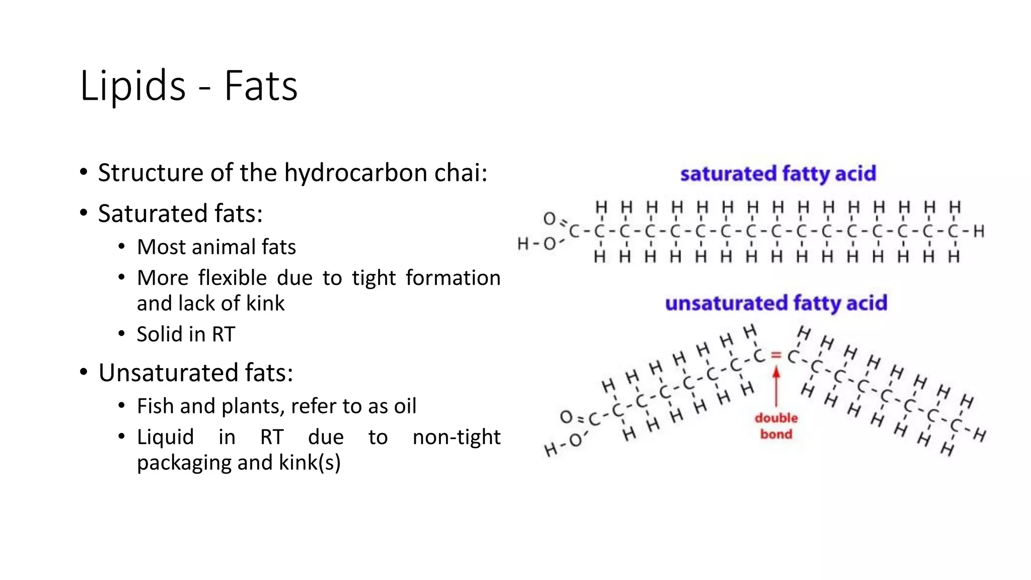 3 - Chemical Composition of the Cell - Part 2 | PDF