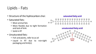 3 - Chemical Composition of the Cell - Part 2 | PDF
