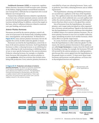 45 hormones and the endocrine system | PDF