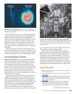 45 hormones and the endocrine system | PDF