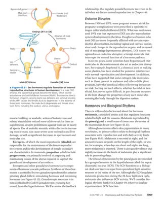 45 hormones and the endocrine system | PDF