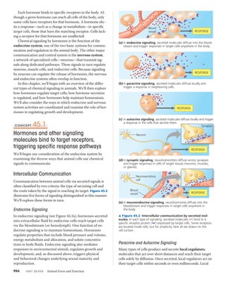 45 hormones and the endocrine system | PDF