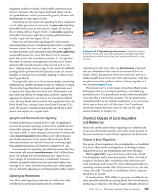 45 hormones and the endocrine system | PDF