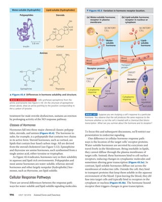 45 hormones and the endocrine system | PDF
