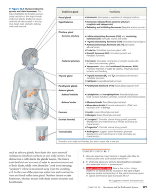 45 hormones and the endocrine system | PDF