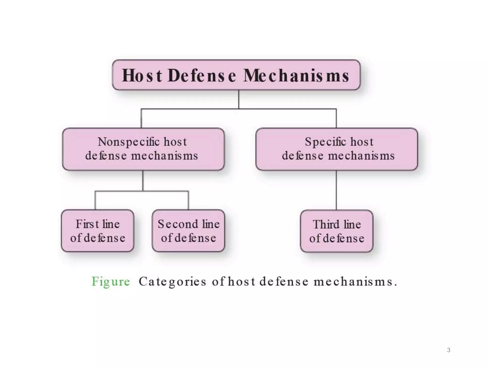 Innate Host Defense Mechanism.ppt
