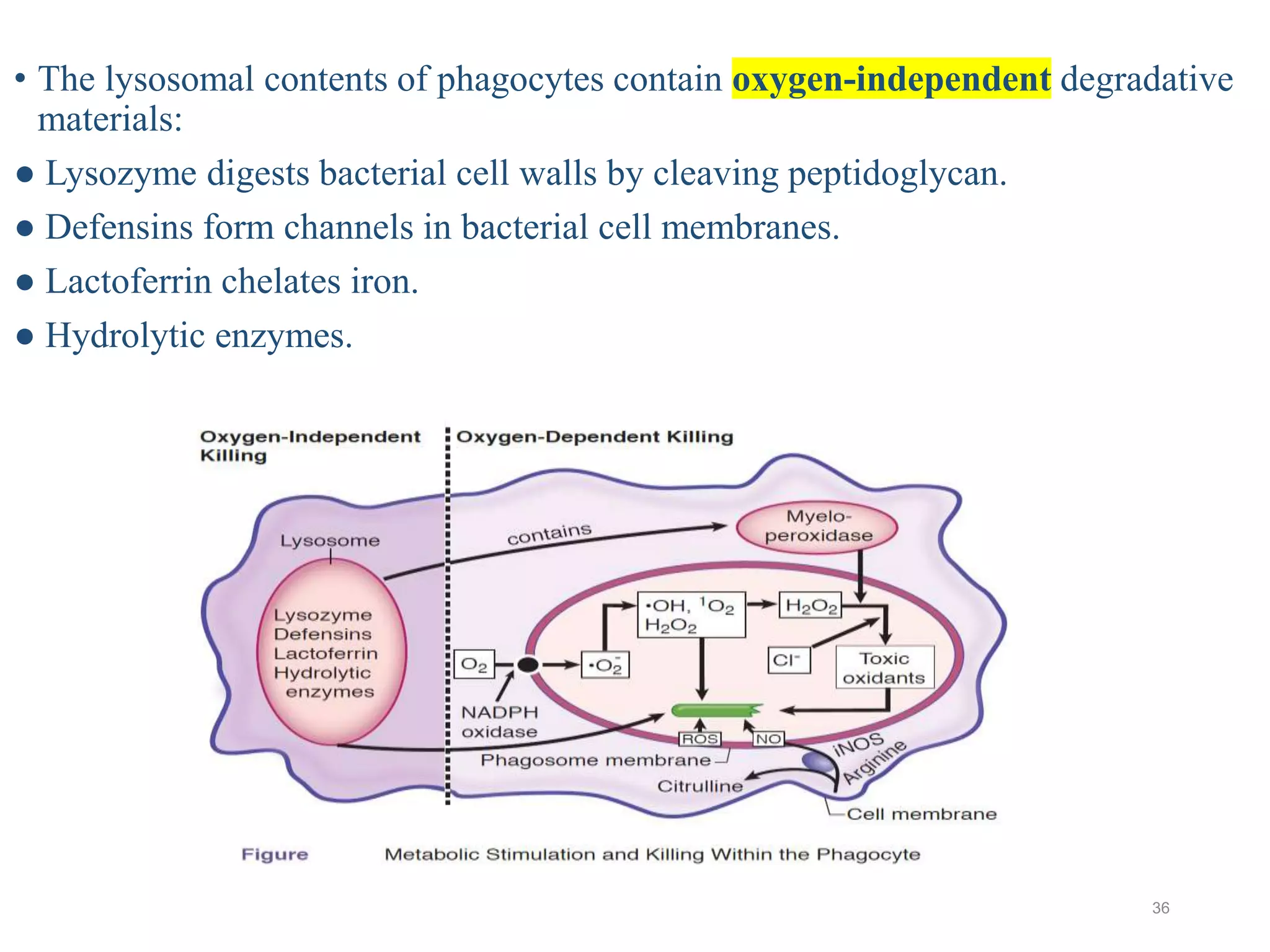 Innate Host Defense Mechanism.ppt