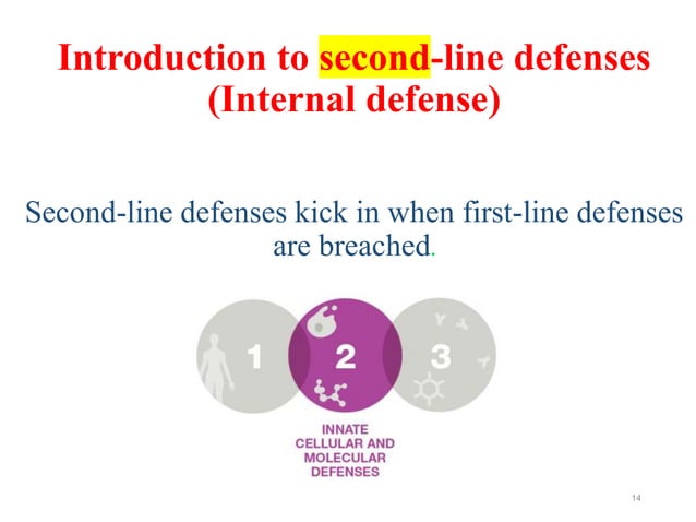 Innate Host Defense Mechanism.ppt