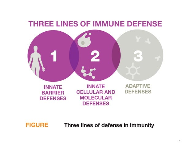 Innate Host Defense Mechanism.ppt