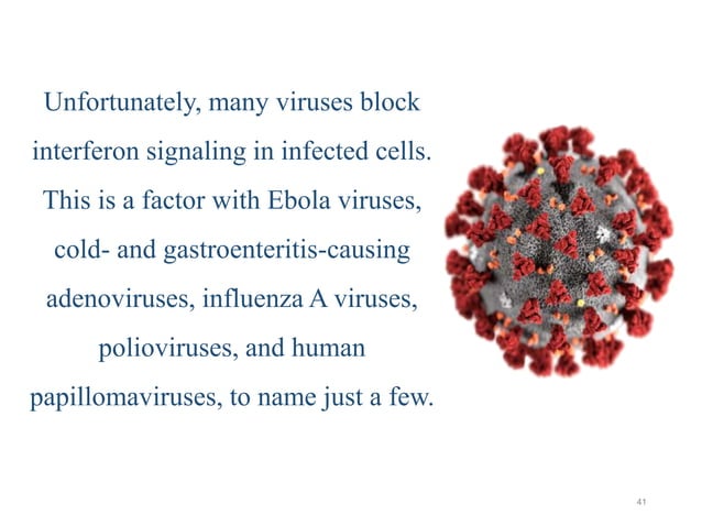 Innate Host Defense Mechanism.ppt