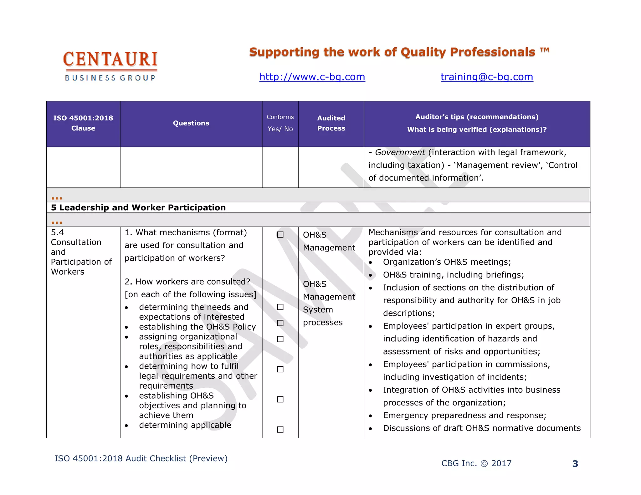 ISO 45001:2018 Audit checklist (preview) | PDF