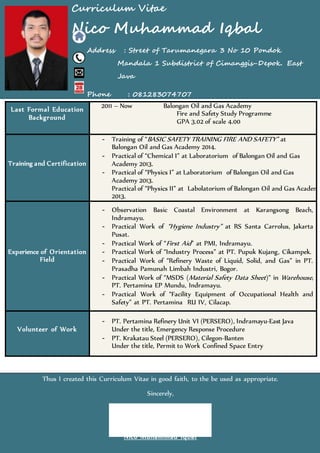 Curriculum Vitae | DOCX