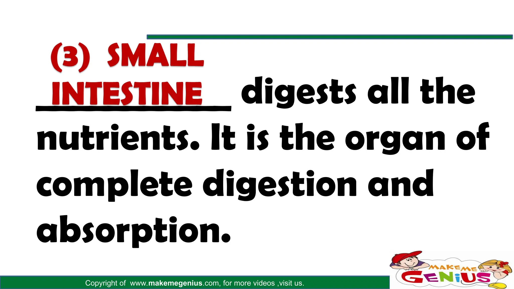 450702437-Parts-functions-of-Digestive-System-ppt.ppt