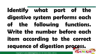 450702437-Parts-functions-of-Digestive-System-ppt.ppt