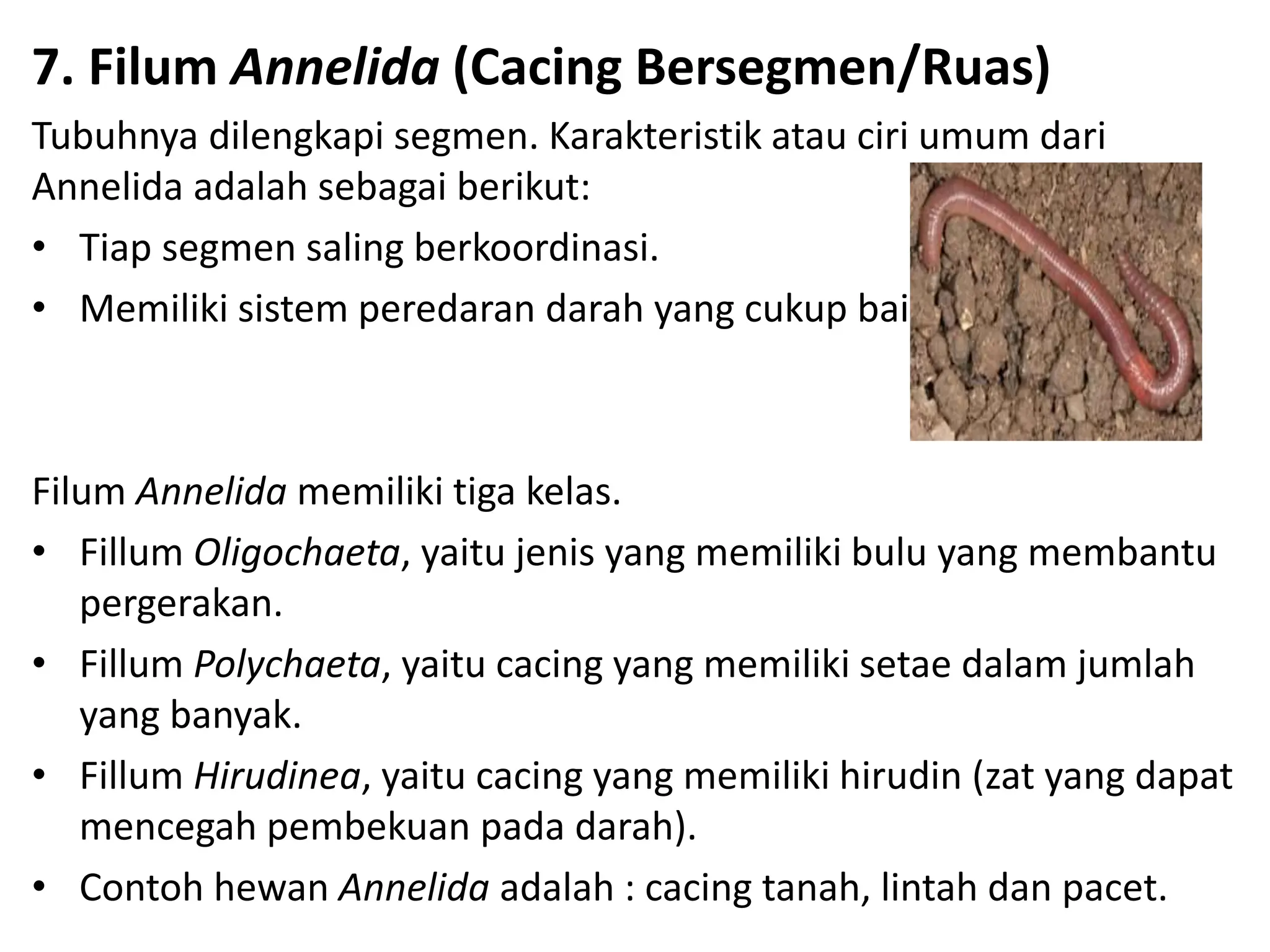 450853145-hewan-tingkat-tinggi-dan-hewan-tingkat-rendah.pptx