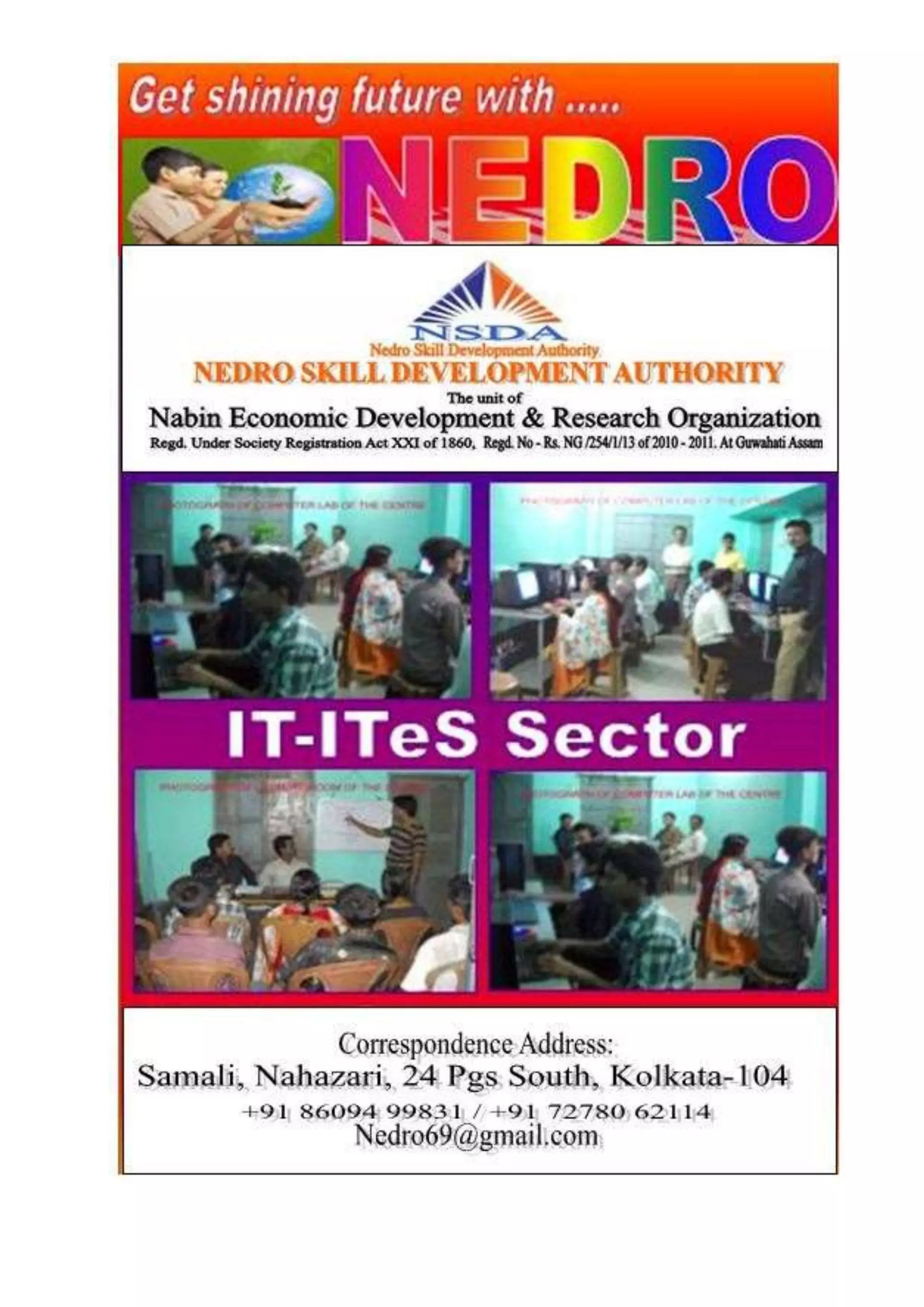 NEDRO PROFILE | DOCX