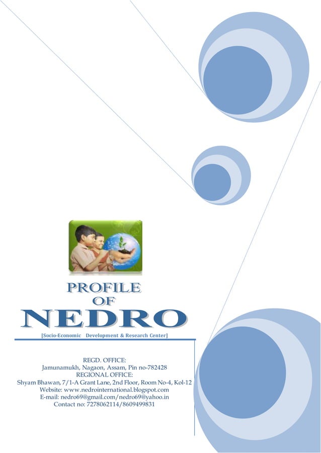NEDRO PROFILE | PDF