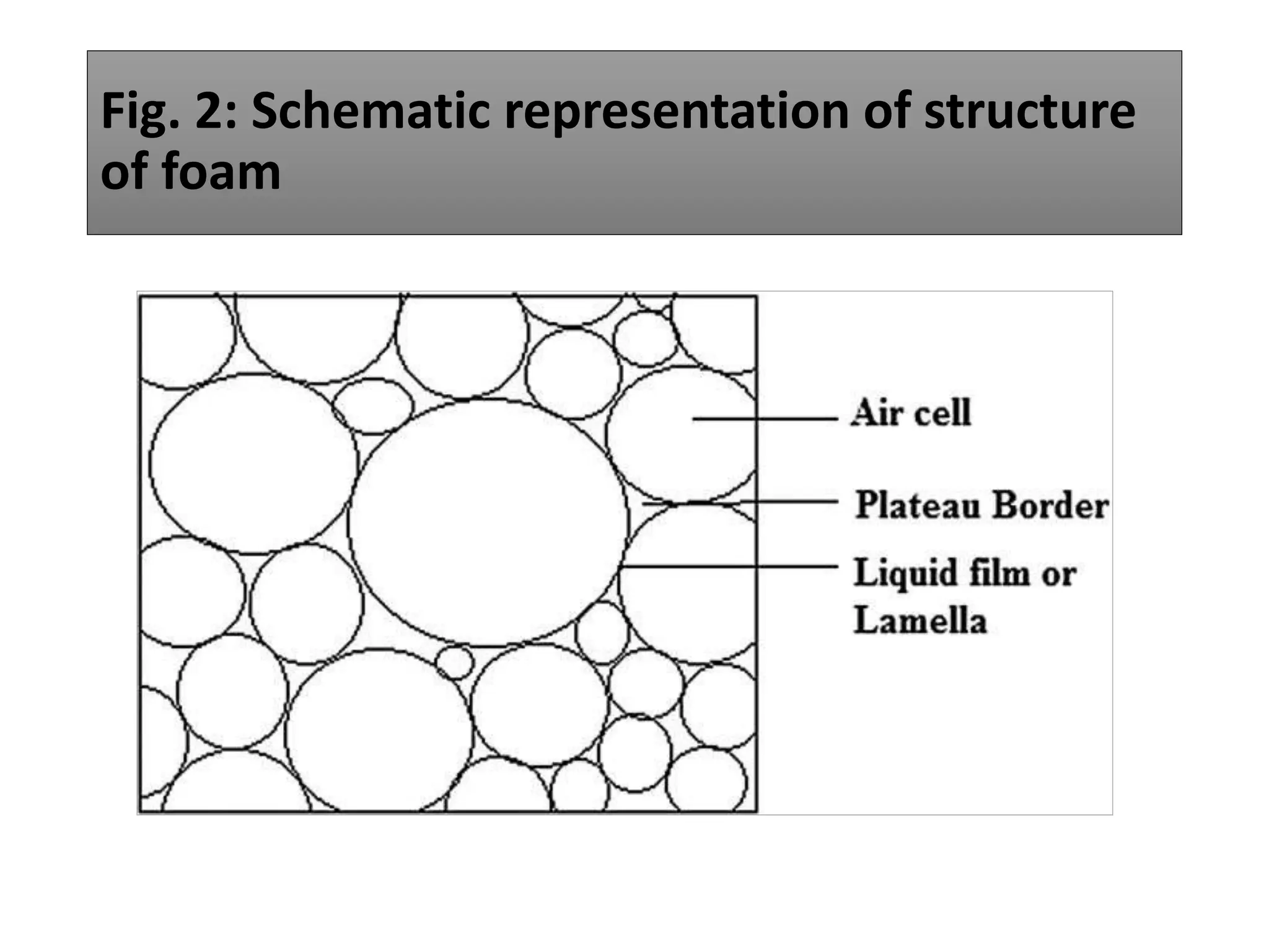 Foam-Mat-Drying-pptx.pptx