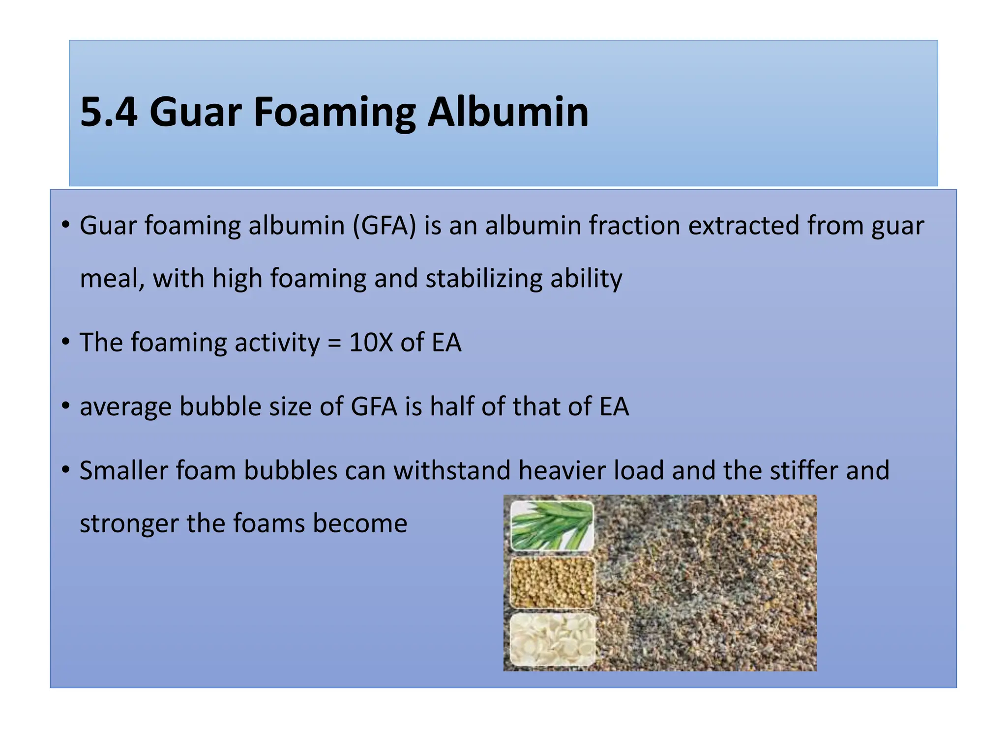 Foam-Mat-Drying-pptx.pptx