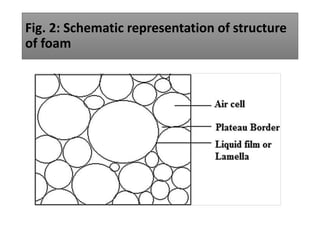 Foam-Mat-Drying-pptx.pptx