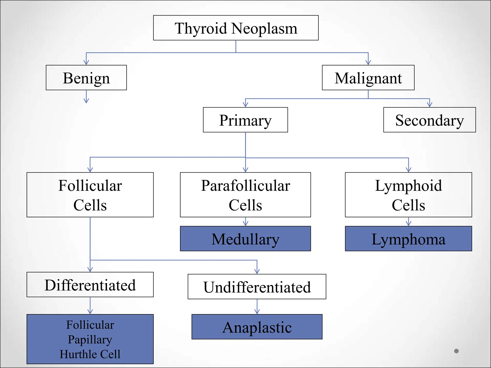 451 Thyroid cancer.ppt classification and treatment | PPT