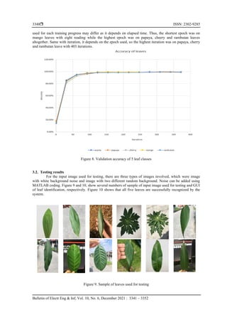 Plant leaf identification system using convolutional neural network | PDF