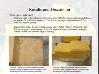 Microbial Cause of Calcium Lactate Defect in Cheddar Cheese | PPT ...