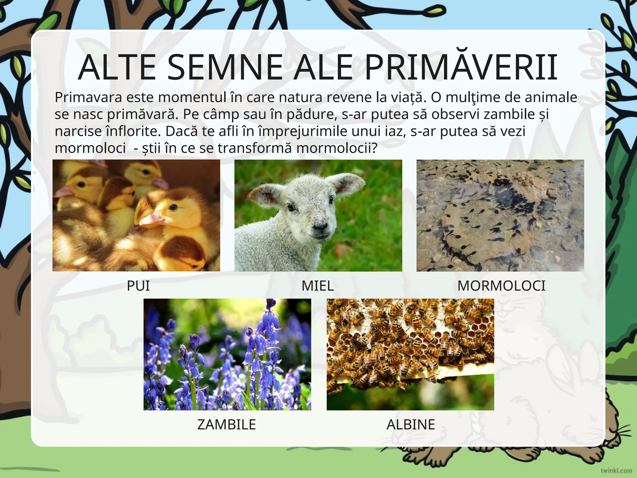 453834511-Totul-despre-primavara-PowerPoint-ppt.ppt