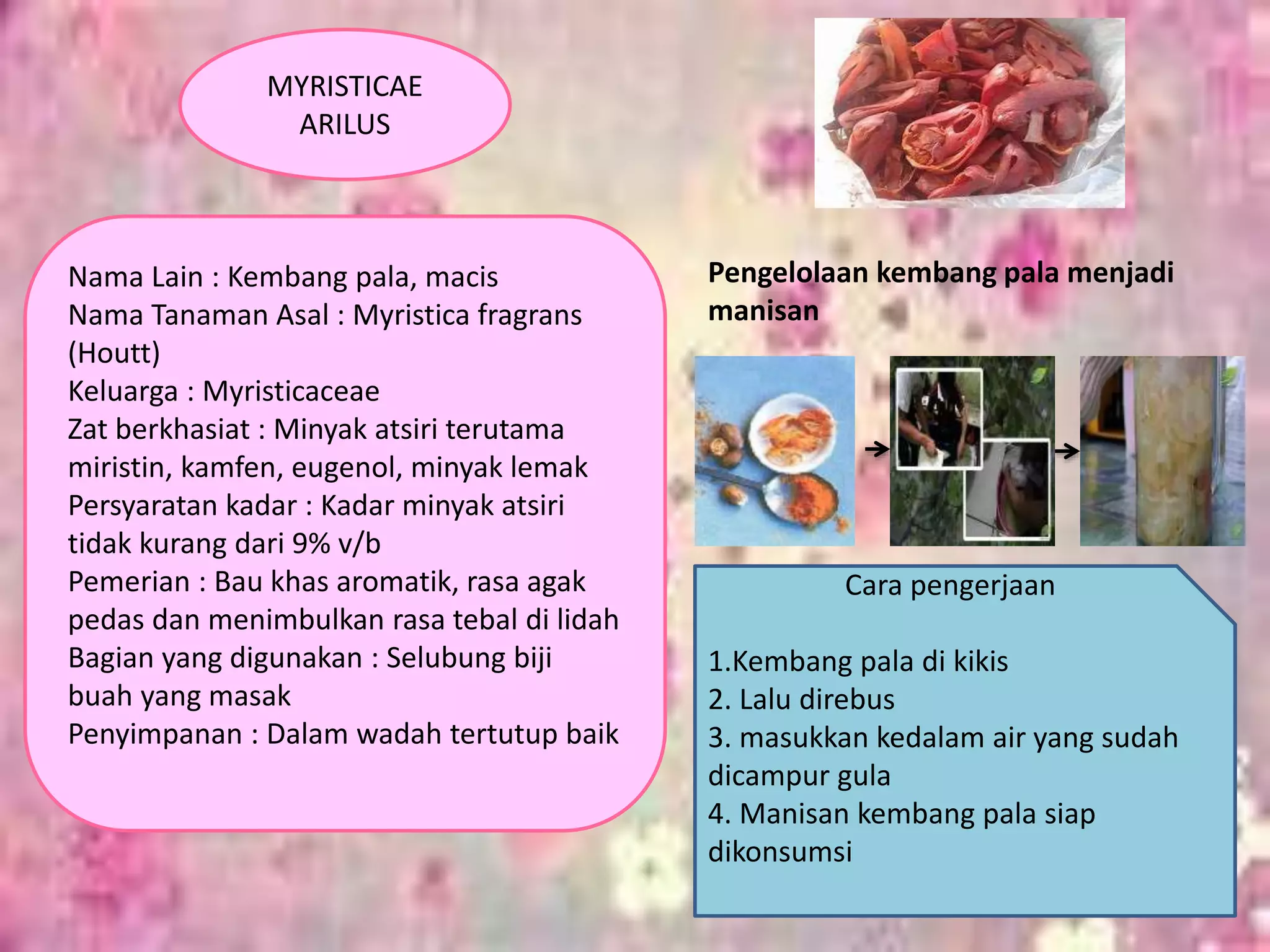 453949664-Ppt-Simplisia-Semen.pptx