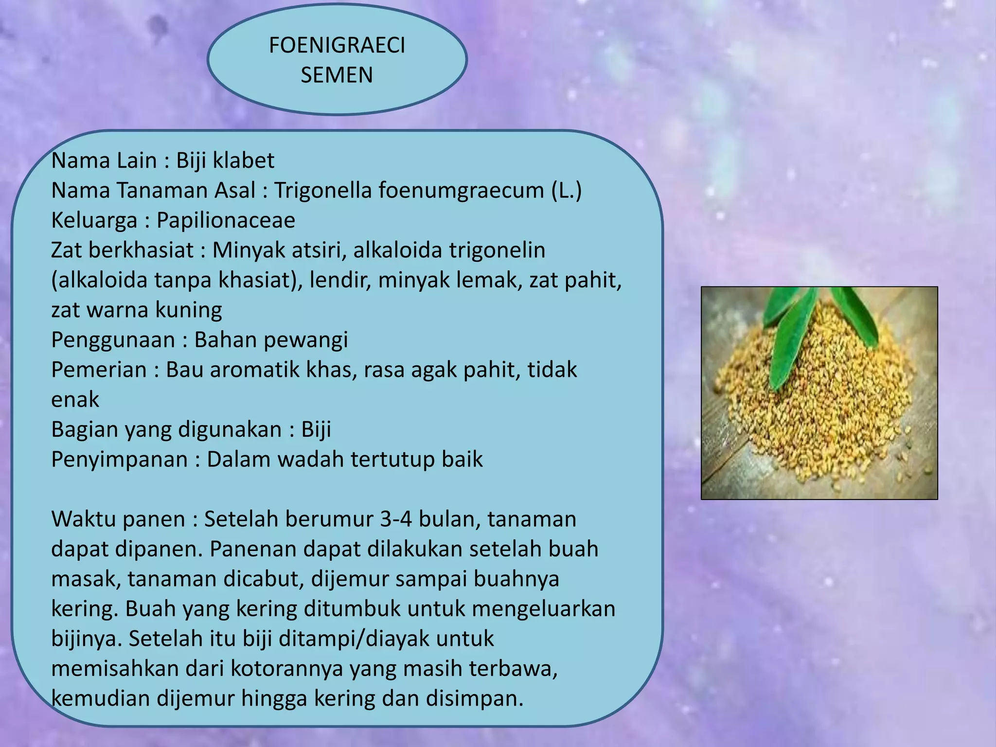 453949664-Ppt-Simplisia-Semen.pptx