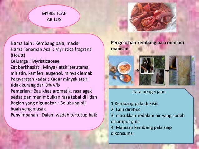 453949664-Ppt-Simplisia-Semen.pptx