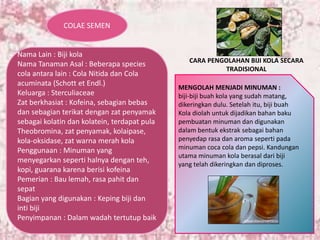 453949664-Ppt-Simplisia-Semen.pptx