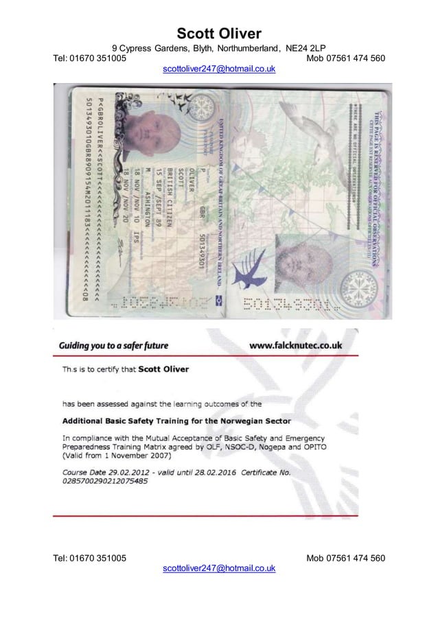 Scott Oliver CV | PDF