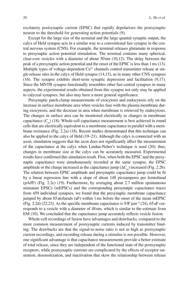 Molecular Mechanisms of Neurotransmitter Release Zhao | PDF