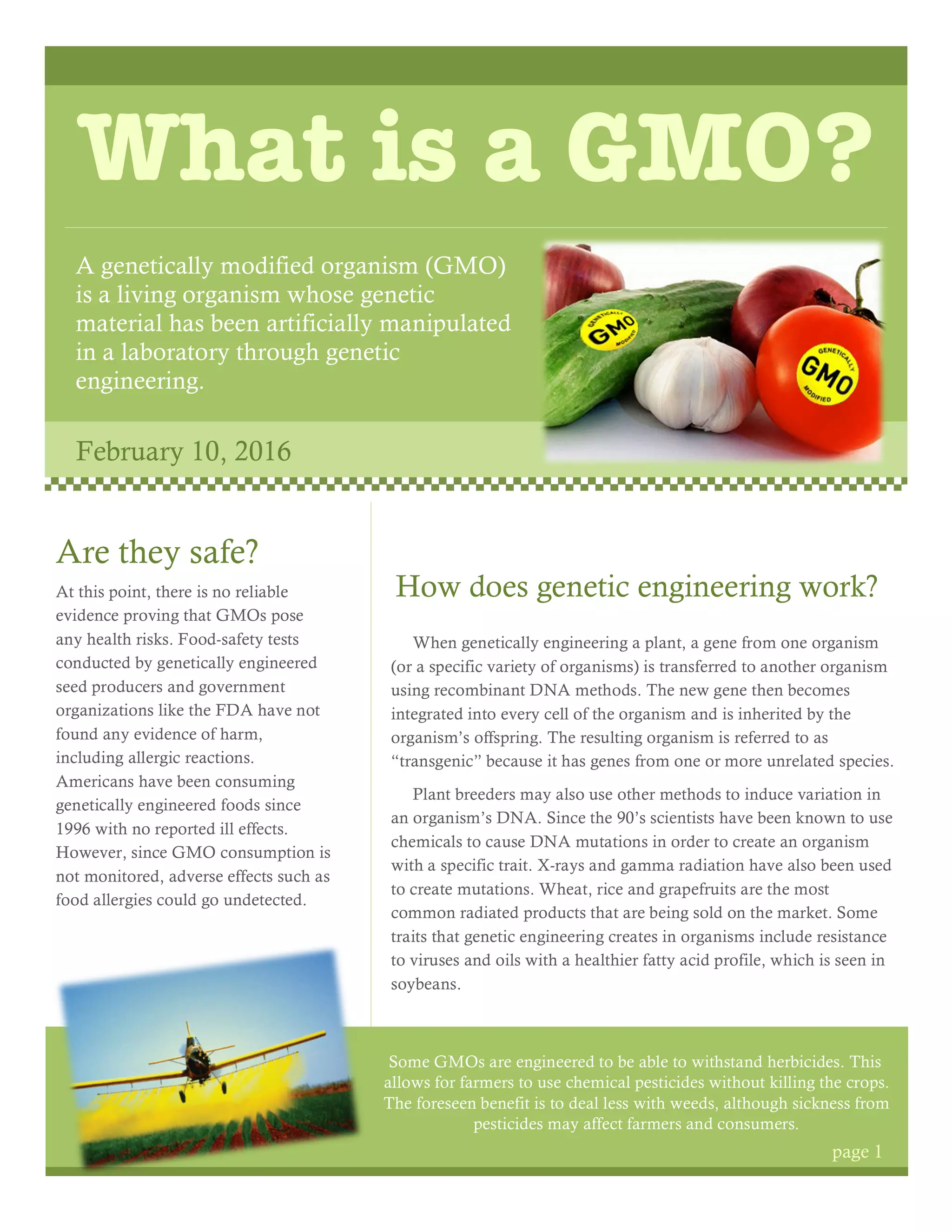 what is a GMO_ | PDF