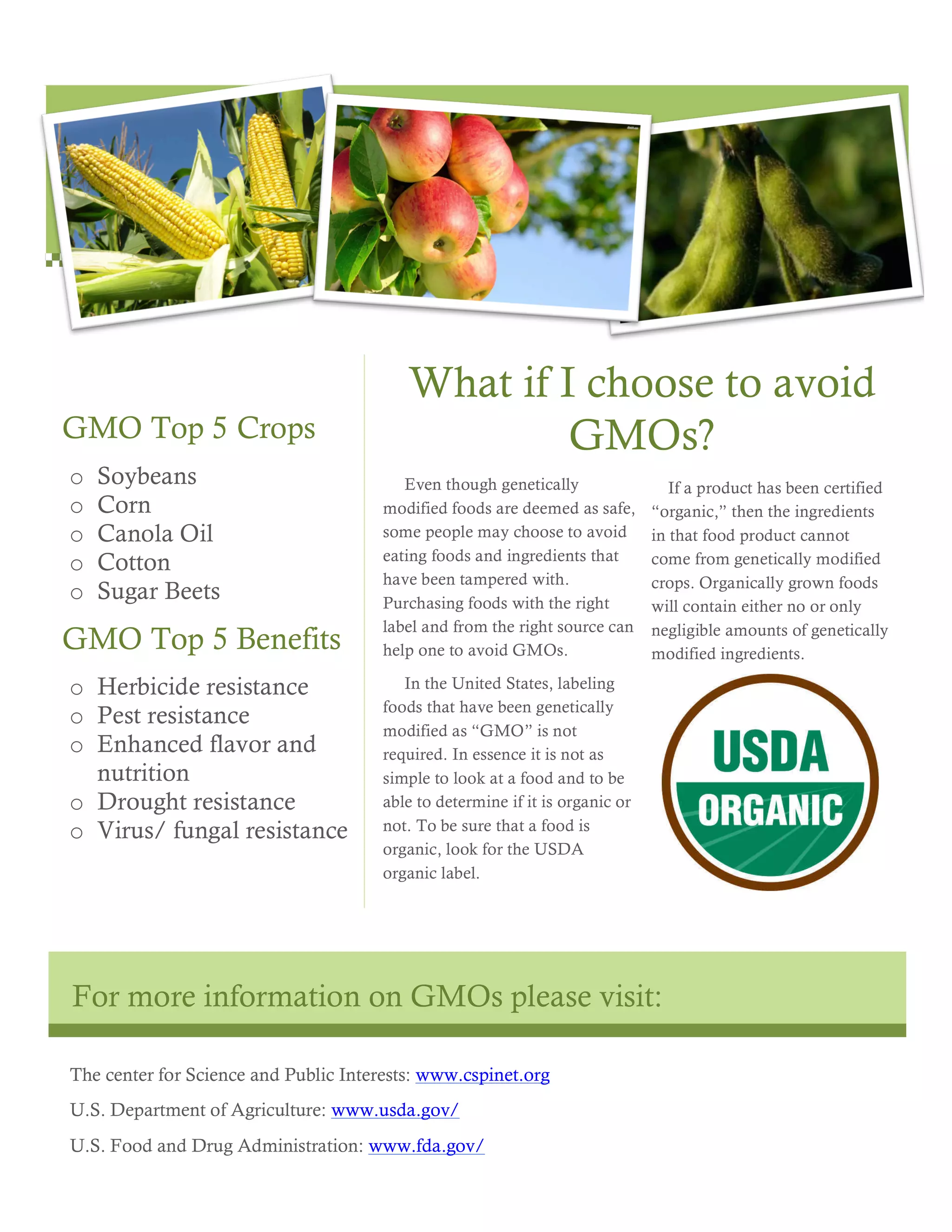 what is a GMO_ | PDF