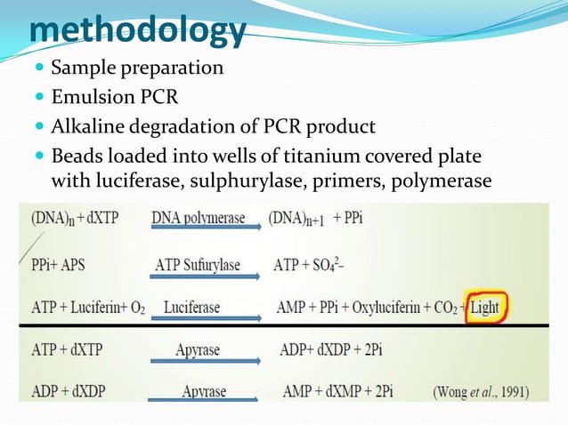 454 pyrosequencing @ujjwalsirohi | PDF | Chemistry | Science