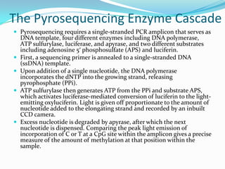 454 pyrosequencing @ujjwalsirohi | PDF