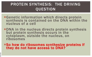 455156996-Protein-Synthesis-Complete-Powerpoint.pdf