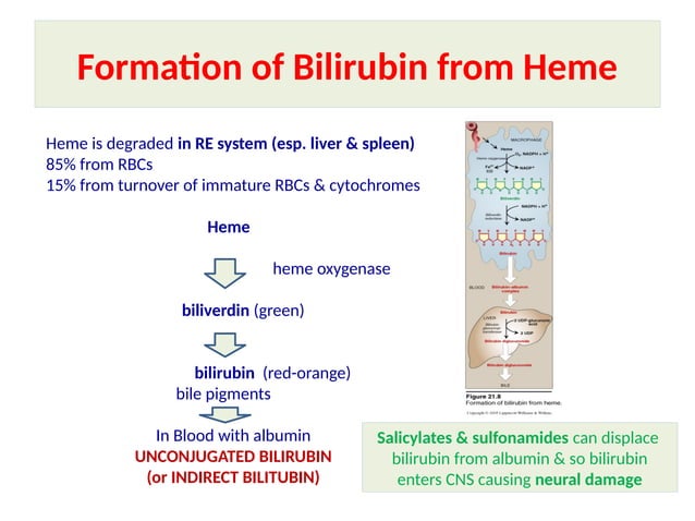 Bilirubin metabolism and jaundice imp.ppt