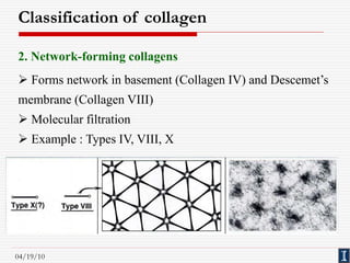 Extra cellular matrix protein and proteinaseppt | PPT