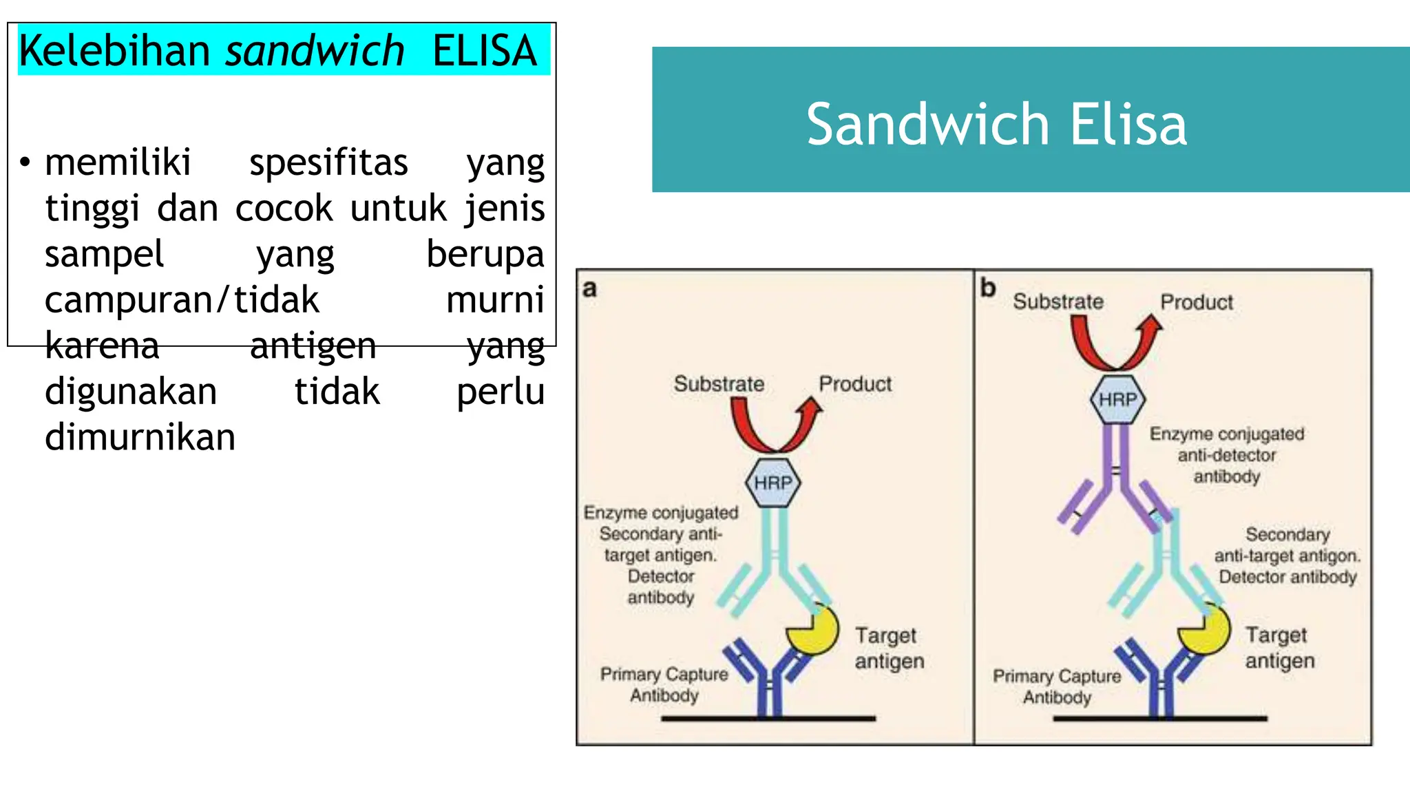 455797170-PROSES dan metode ELISA-pptx.pptx