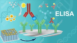 455797170-PROSES dan metode ELISA-pptx.pptx